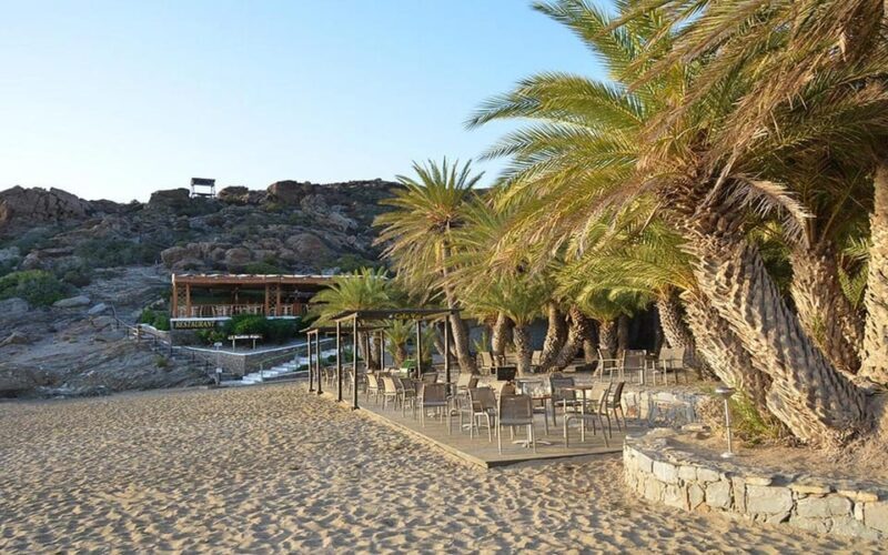 Crete and Heraklion Areas: Direct Day Trip Vai Beach - Final Thoughts
