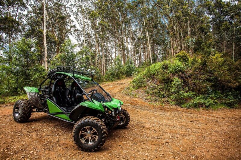 Crete buggy safari - Final Thoughts