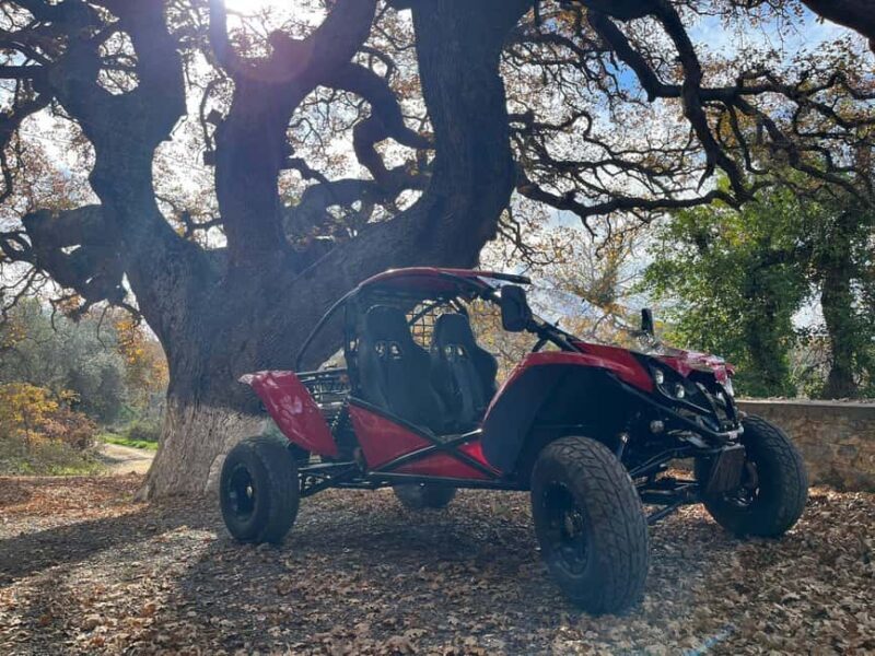 Crete: Buggy Safari with Lunch - Who Will Love This Tour?