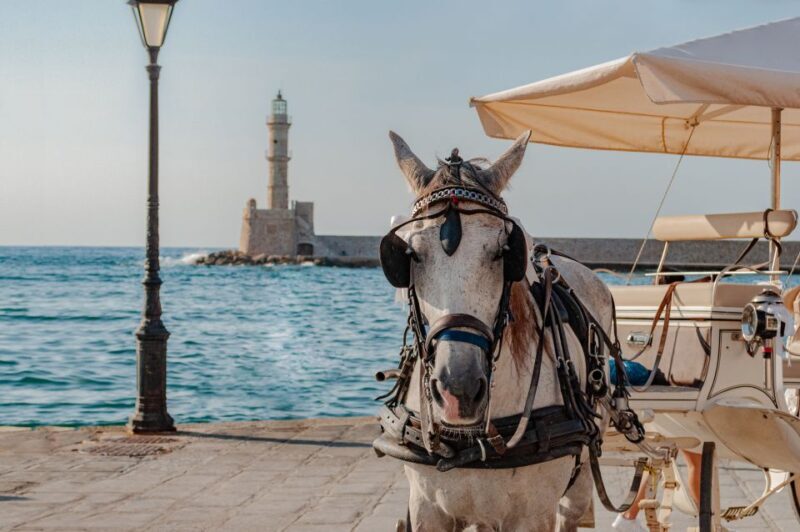 Crete: Chania, Kournas and Rethymno Private Guided Tour - An In-Depth Look at the Tour Experience