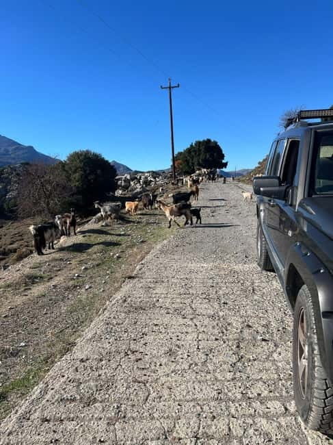Crete: Explore Lassithi Plateau, Myths & Cretan Cuisine - In The Sum Up