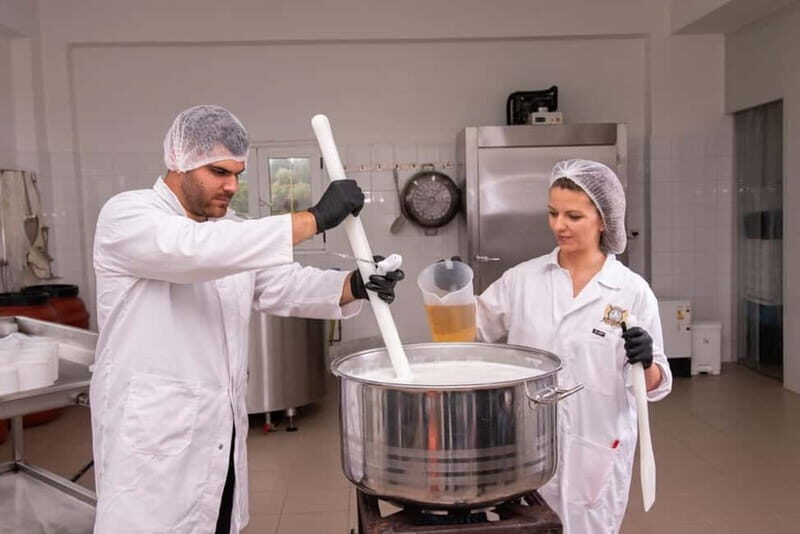 Crete: Farm Visit with Cheese Tasting and Milking Experience - An Authentic Taste of Crete’s Rural Life