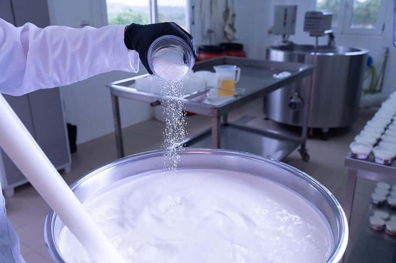 Crete: Farm Visit with Cheese Tasting and Milking Experience - Milking and Animal Encounters