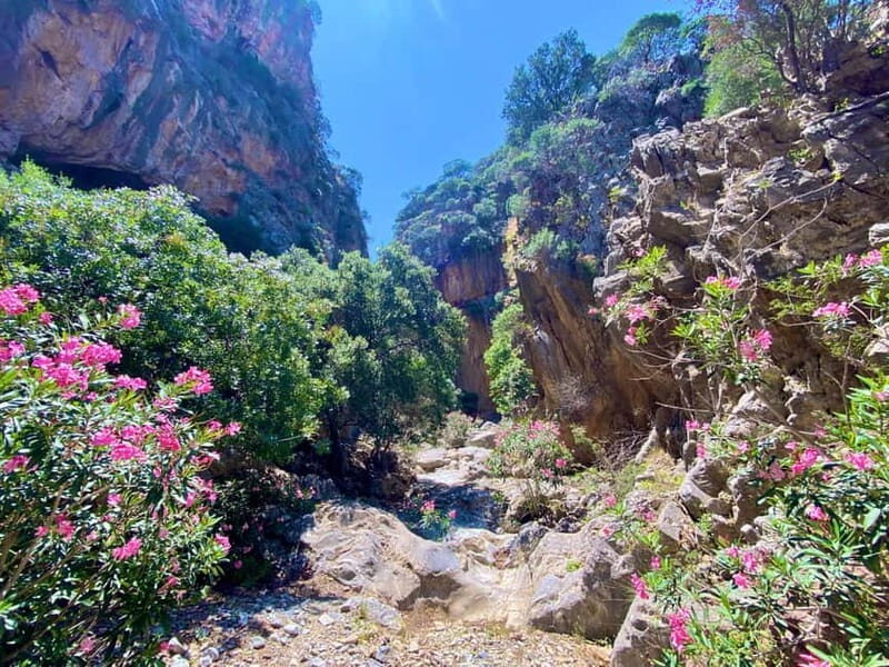 Crete: Guided Hiking Tour, Kavousi Canyon & Swimming - Final Thoughts