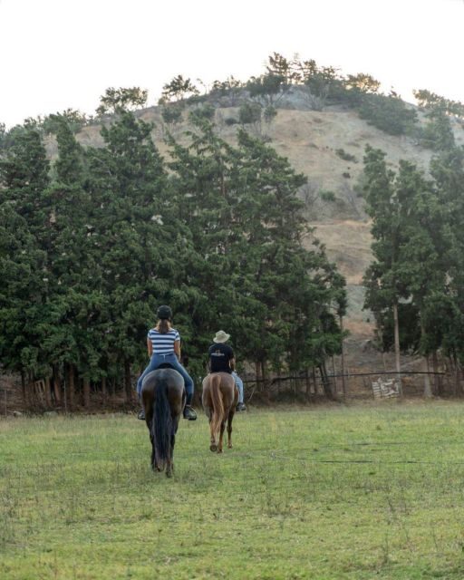 Crete Horse Riding: Cretan Countryside Ride - An In-Depth Look at the Cretan Countryside Ride