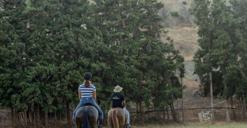 Crete Horse Riding: Cretan Countryside Ride - Who Is This Experience Best Suited For?