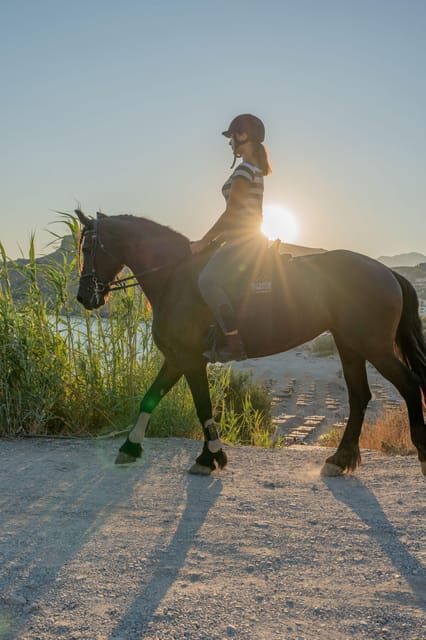Crete Horse Riding: East Coastline Ride - A Closer Look at the Crete Horse Riding Experience