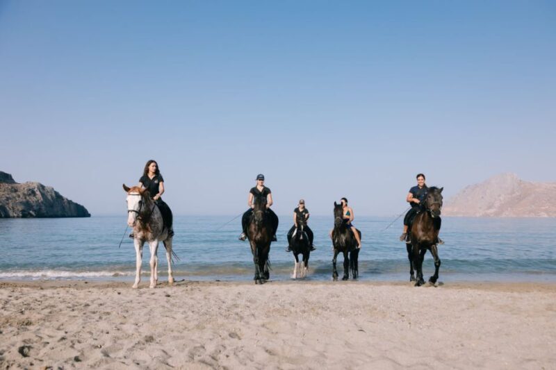 Crete Horse Riding: Plakias Beach Ride - Who Should Consider This Tour?