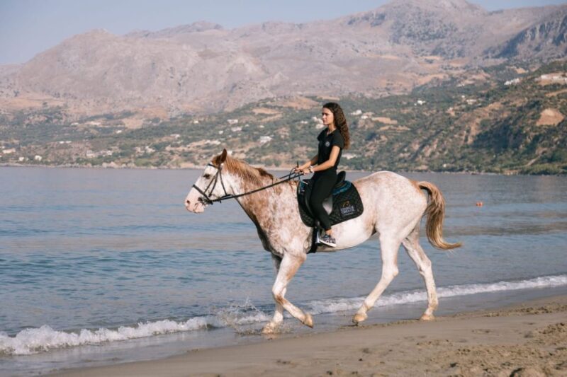 Crete Horse Riding: Plakias Beach Ride - Final Thoughts