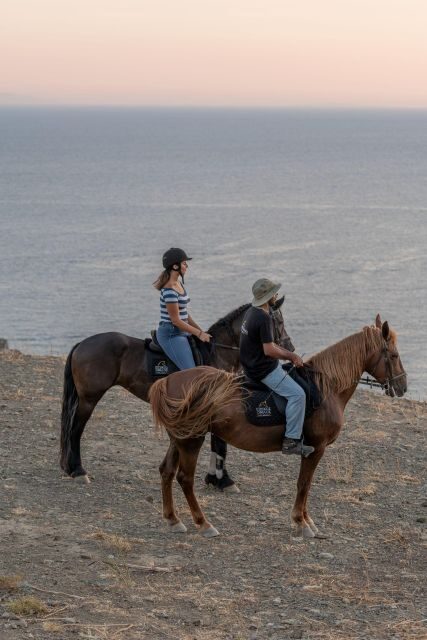 Crete Horse Riding: Saint Paisios Hill Trip - Who Should Consider This Tour?