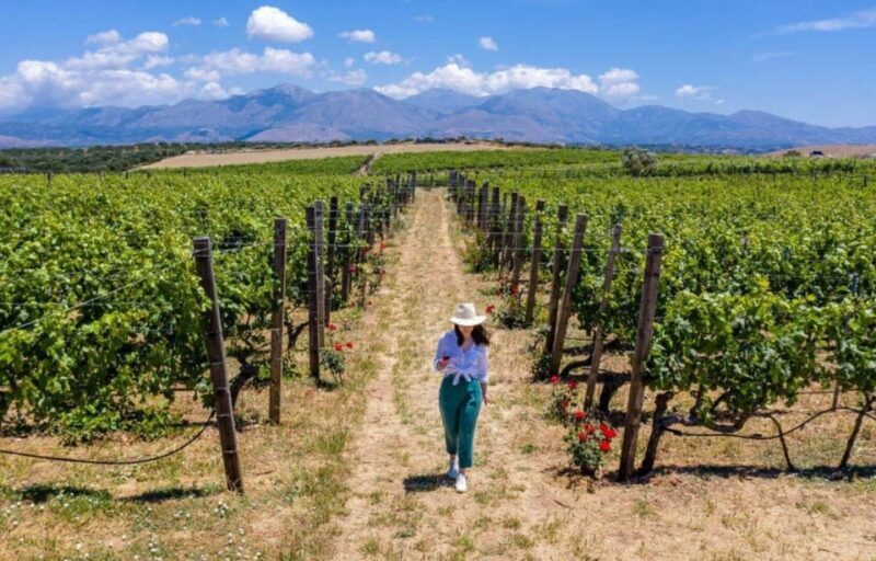 Crete: Knossos Palace and Archanes with Wine Tasting Tour - Why This Tour Offers Real Value