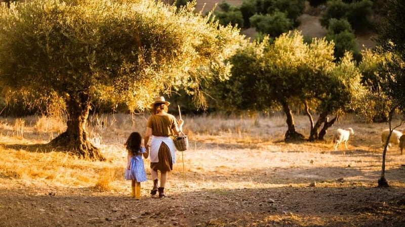 Crete: Knossos Palace, Olive Oil Tasting, and Heraklion Tour - Who This Tour Is Best For