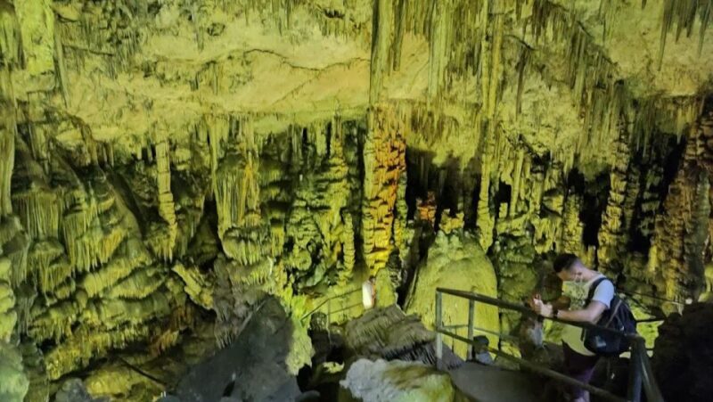 Crete: Knossos, Zeus Cave, Traditional village, Olive Farm - What Real Travelers Say
