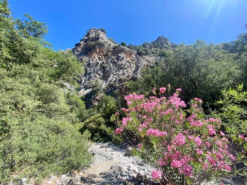 Crete: Kritsa Canyon Guided Hiking Tour - Key Points