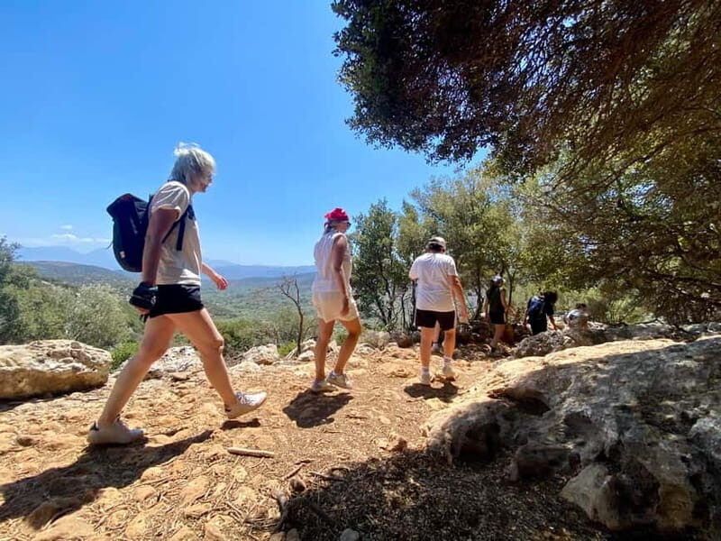 Crete: Kritsa Canyon Guided Hiking Tour - The Value of This Tour