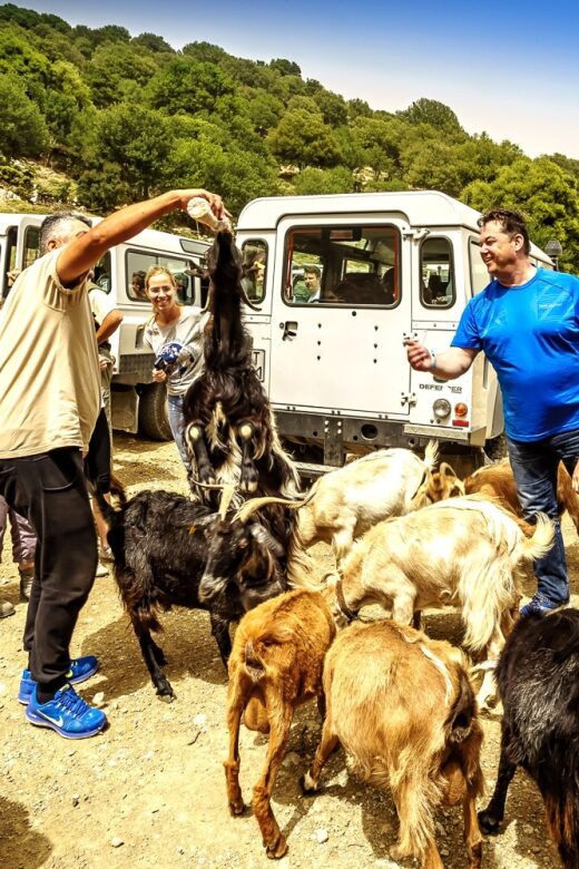 Crete: Land Rover Safari on Minoan Route - Off-Road Adventure Along the Minoan Path
