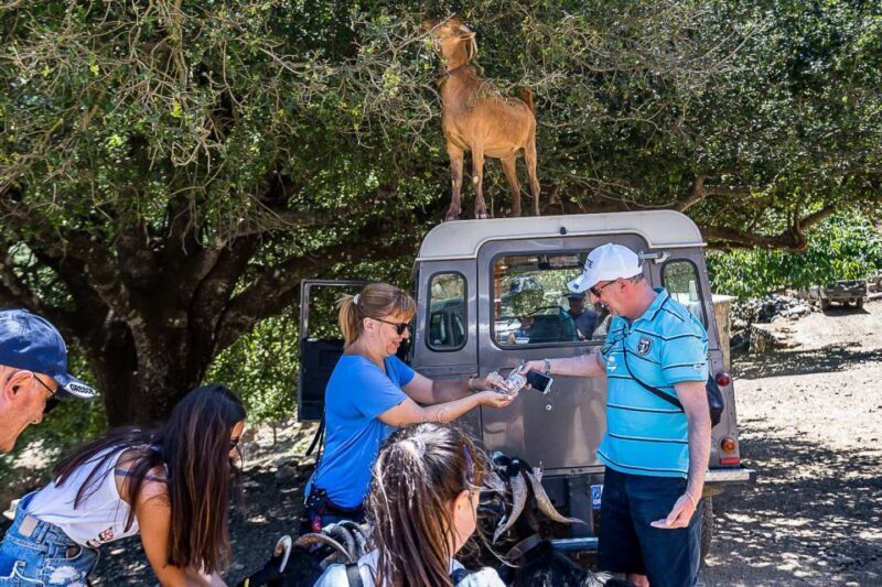 Crete: Land Rover Safari on Minoan Route - Shepherd’s Mitato and Cheese Tasting