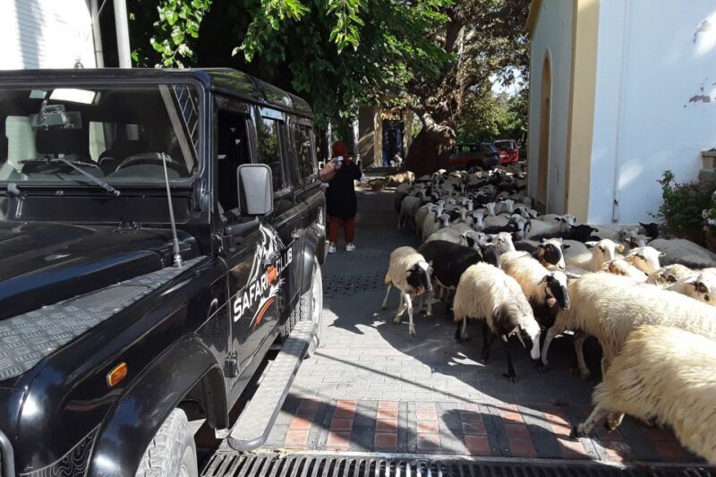 Crete: Land Rover Safari on Minoan Route - Panoramic Views of Lassithi Plateau