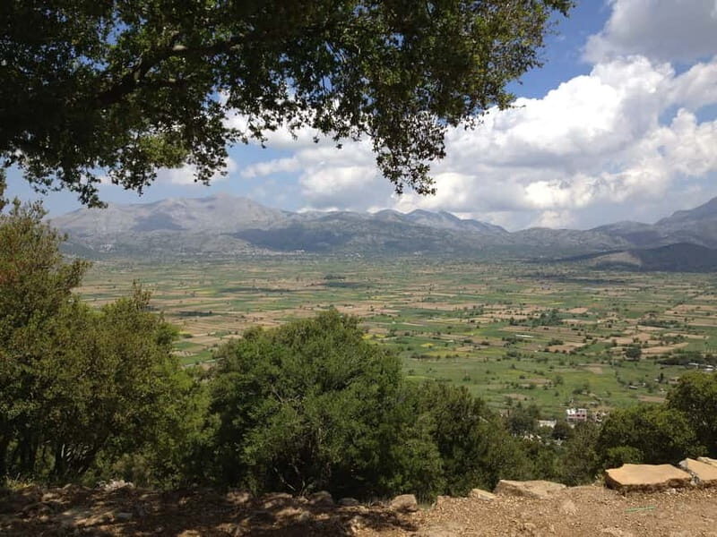 Crete: Lasithi Plateau and Knossos Palace Day Tour - An In-Depth Look at the Tour