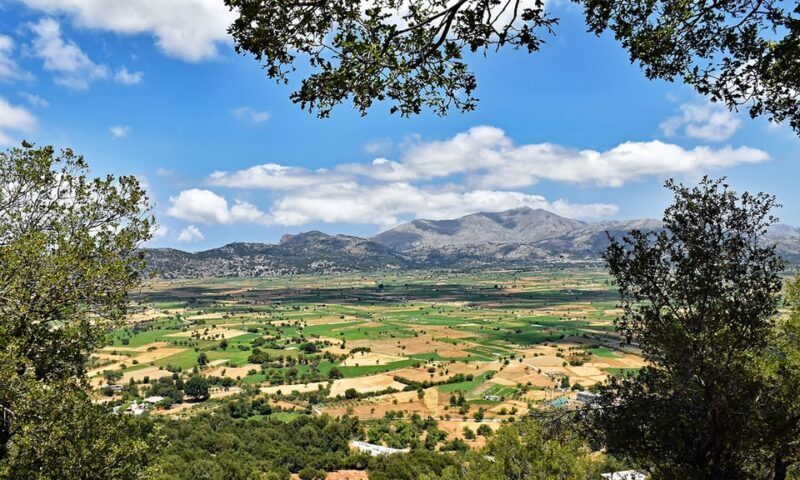 Crete: Lasithi Plateau & Knossos Palace Day Trip - What Travelers Are Saying