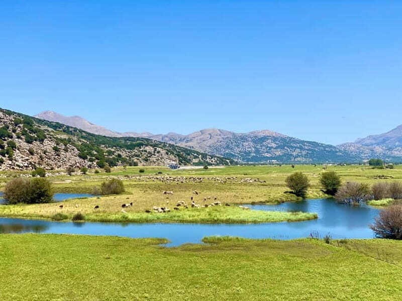 Crete: Lassithi Plateau Guided Hiking Tour - The Highlights in Detail