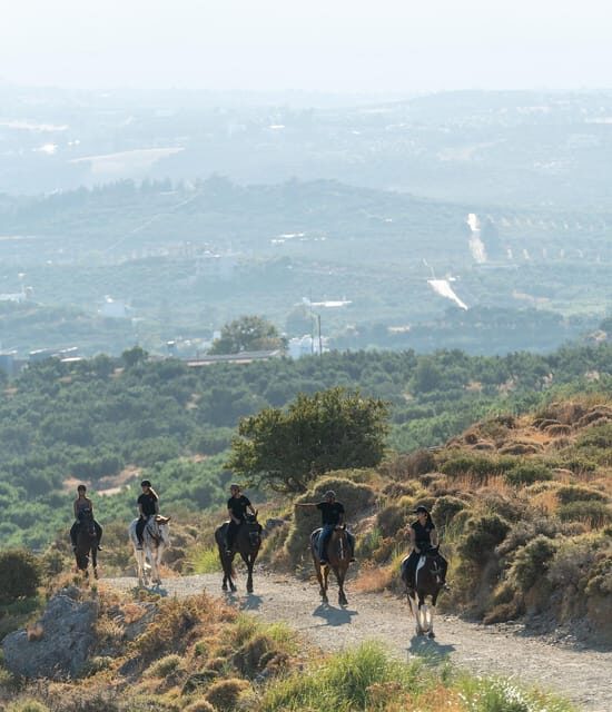 Crete: Plakias Panorama Horse Riding Trip - What Travelers Say
