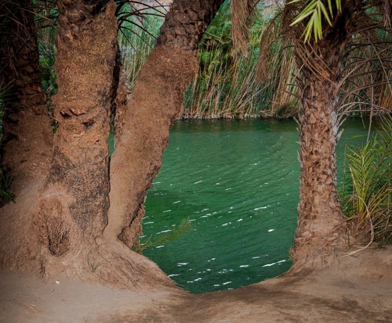 Crete: Preveli Tropical Beach and Palm Forest - Exploring Crete’s Preveli Tropical Beach and Palm Forest: A Detailed Look