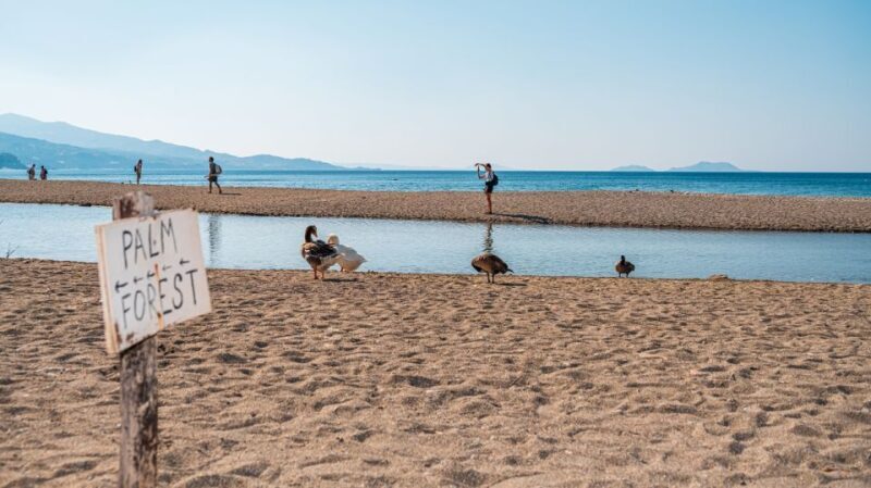 Crete: Preveli Tropical Beach and Palm Forest - Final Thoughts: Is It Worth It?