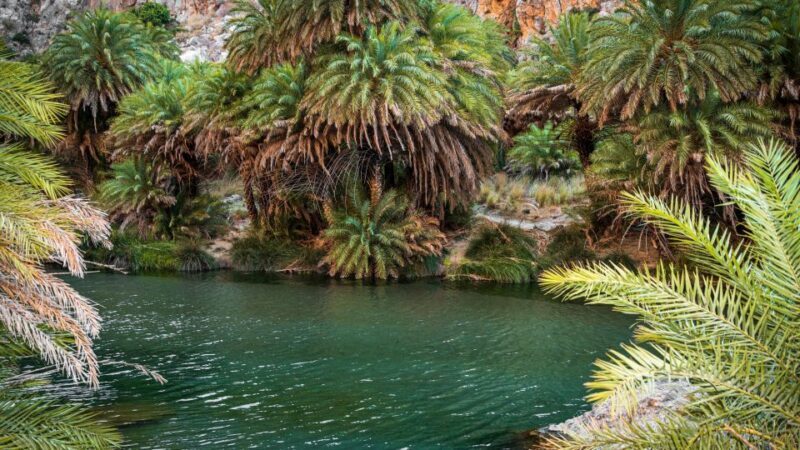 Crete: Preveli Tropical Beach - Why Choose the Preveli Tropical Beach Tour?