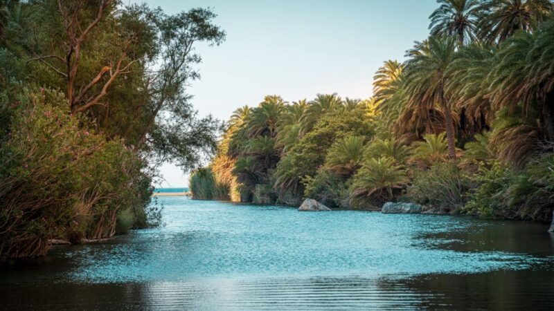 Crete: Preveli Tropical Beach - Authentic Experience and Practical Tips