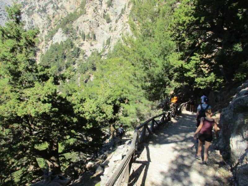 Crete: Private Guided Trek to Samaria Gorge with Transfer - The Cost & What It Gets You