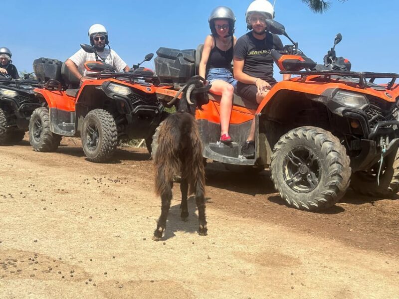 Crete: Quad Safari, Olive Mill with Tasting & Ghost Village - Key Points