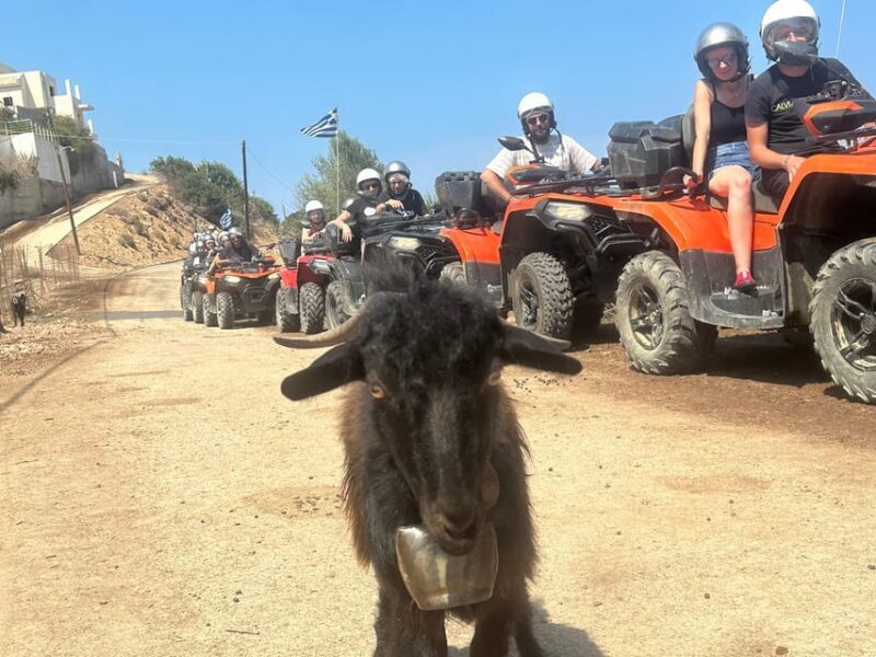 Crete: Quad Safari, Olive Mill with Tasting & Ghost Village - An Extensive Breakdown of the Tour
