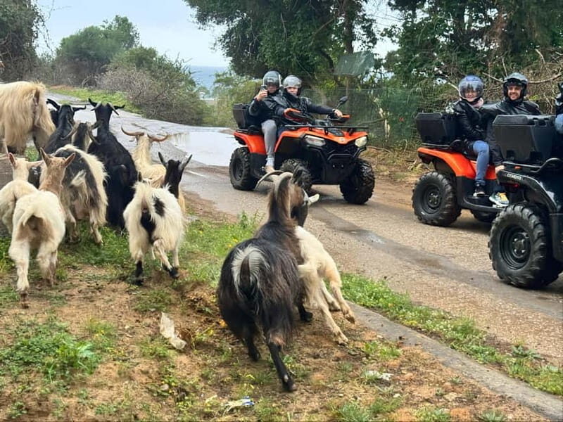 Crete: Quad Safari with Ghost Town Exploration - Final Thoughts: Is It Worth It?