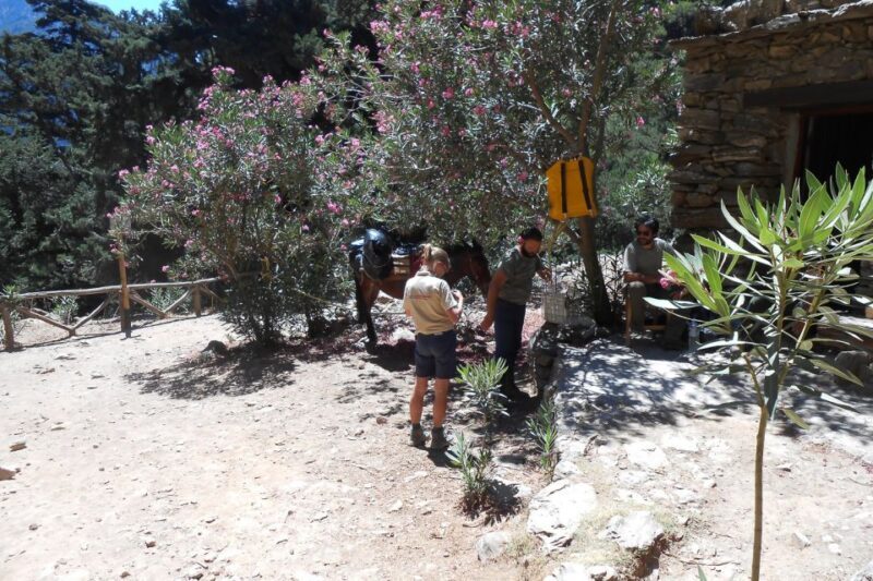 Crete: Samaria Gorge Hiking with transfer and expert Escort - Practicalities and Tips for Getting the Most Out of Your Tour