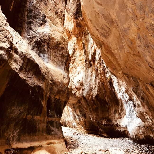 Crete: Sarakina Gorge, Forests, and South Coast Safari - An In-Depth Look at the Crete South Coast Safari