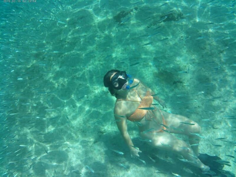 Crete: Snorkel Cretes Hidden Coves by Boat - Authentic Feedback from Travelers