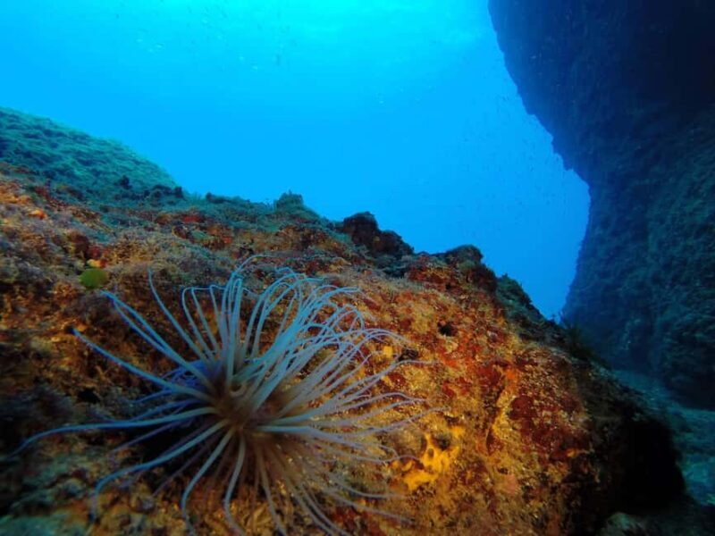 Crete: Snorkel Cretes Hidden Coves by Boat - FAQ