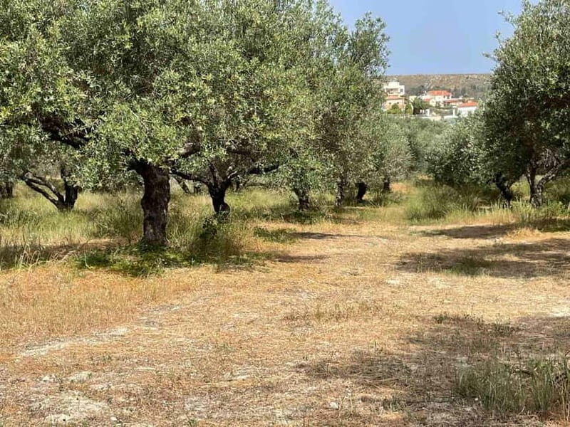 Crete: Sunset & Flavors of Crete Tour in the Countryside - Transportation, Timing, and Group Size