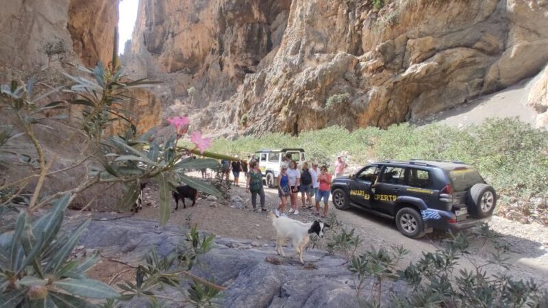 Crete: Trypiti Beach Off-Road South Tour w/ Lunch & Wine - Who Should Consider This Tour?