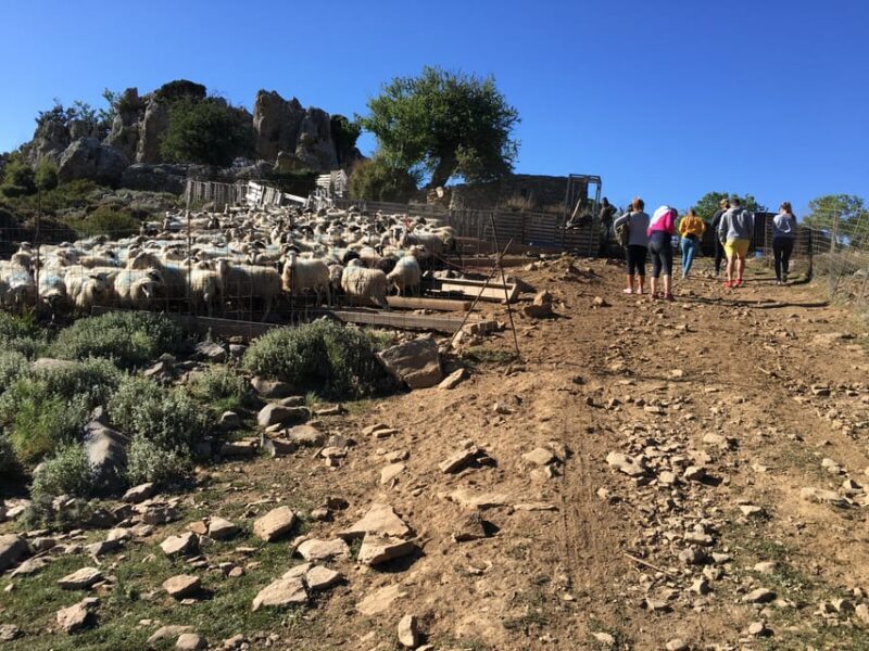 Crete: White Mountains Preserve Day Tour - FAQ