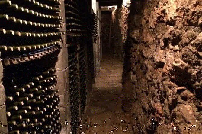 Crete's Wine and Olives Safari Tour from Chania - A Detailed Look at Cretes Wine and Olives Safari Tour from Chania