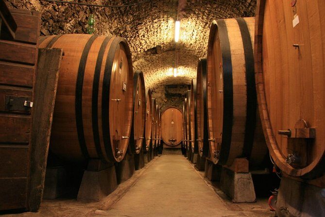 CRICOVA Winery tour with tasting from Chisinau - Summary: Who it’s Best For