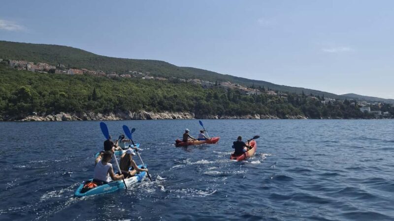 Crikvenica: Coastline Guided Kayak Tour with Viewpoint Hike - Who Should Consider This Tour?
