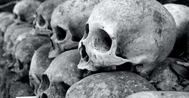 Crimes & Mysteries - A Deep Dive into the Porto Crimes & Mysteries Tour