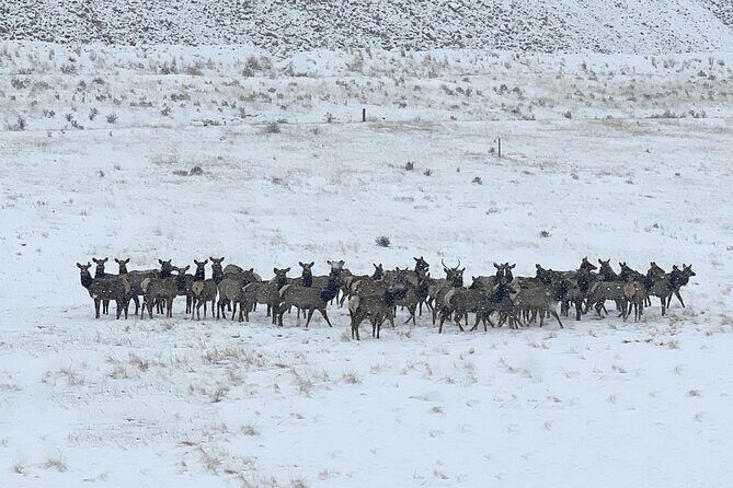 Cripple Creek Back Country Jeep Tour - Who Should Consider This Tour?