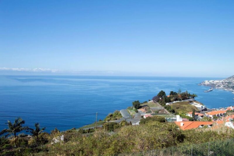 Cristo Rei Guided TukTuk Tour (From Funchal) - Timing, Group Size, and Practicalities
