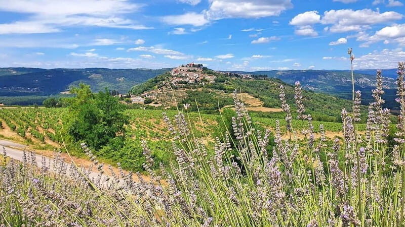 Croatia, Istria: 7-Day Premium Cycling & Gourmet E-Bike Tour - Key Points