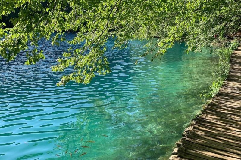 Croatia: Plitvice Lakes Private Tour with Hotel Pickup - Who Will Love This Tour?