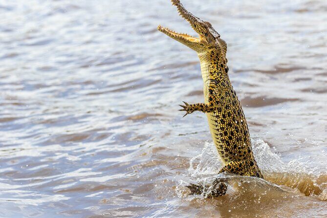 Croc Country Safaris - Who Will Love This Tour?